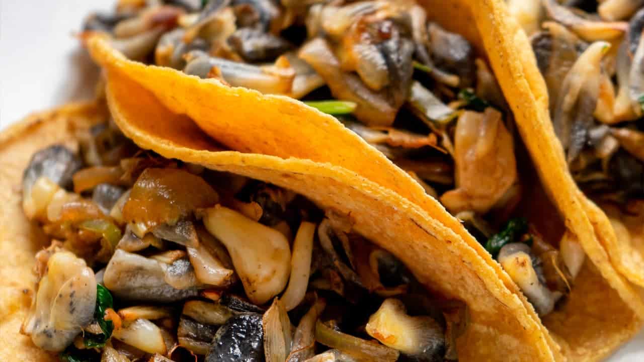 5 recetas con Huitlacoche - Paulina Cocina