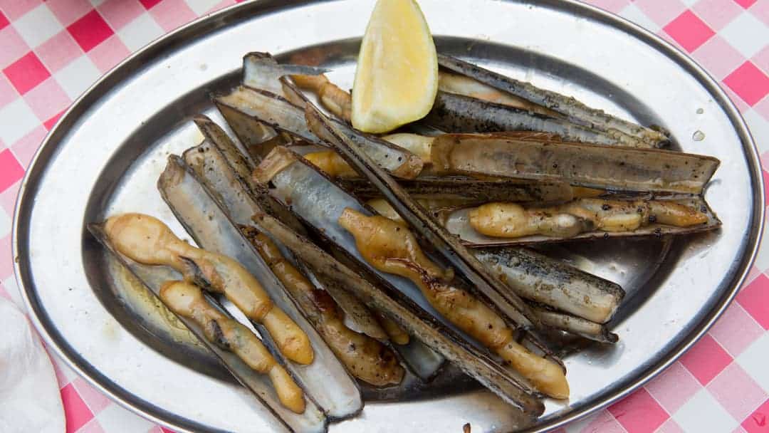Navajas a la plancha: sabores del mar - Paulina Cocina
