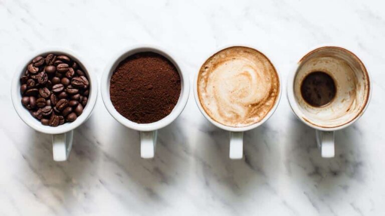 4 pasos para hacer un Capuchino perfecto - Paulina Cocina